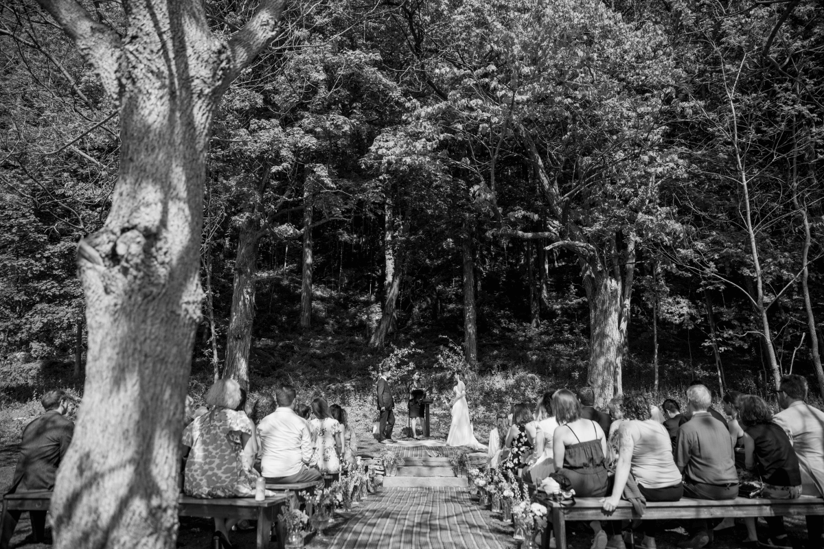 Spring's Embrace: Rachel and Mundo's Wedding at Taconic Ridge Farm ...